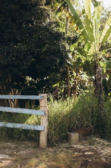 Fencing Rules and Regulations PDF | Download Guide Now!