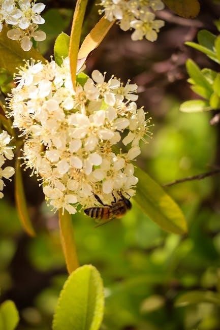 Bee Movie Script PDF - Download Full Screenplay!